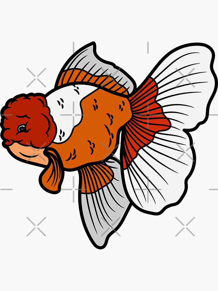 "oranda goldfish" Sticker for Sale by Animster | Redbubble