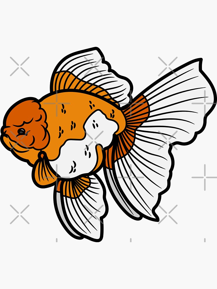 "oranda goldfish" Sticker for Sale by Animster | Redbubble