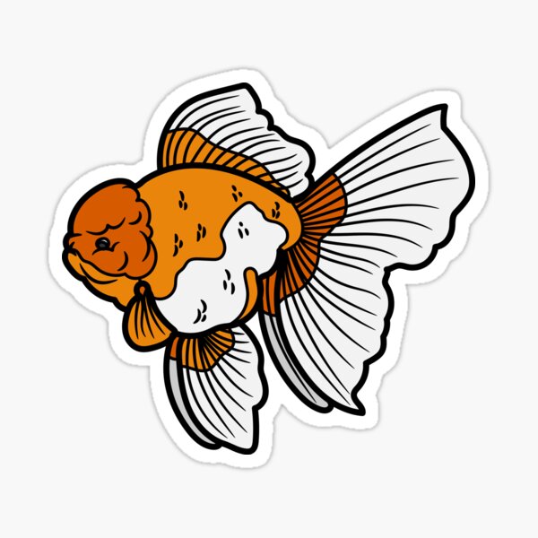 "oranda goldfish" Sticker for Sale by Animster | Redbubble