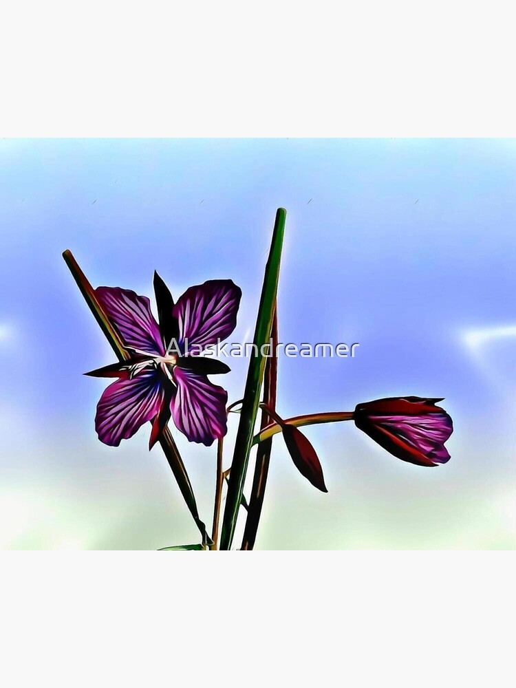"Alaska Fireweed Flower in Summer Bloom" Sticker for Sale by ...