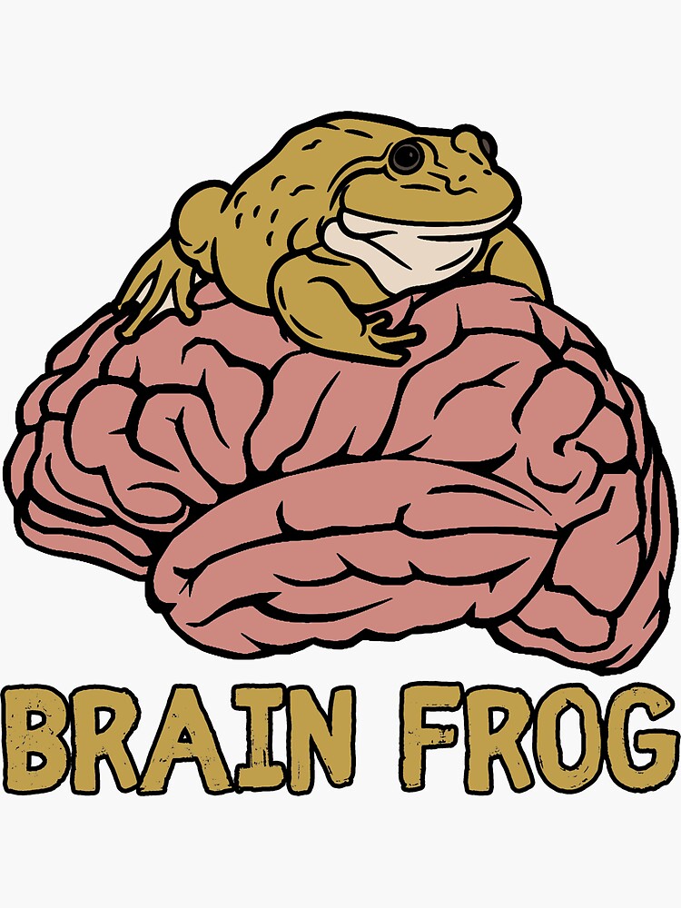 Frog Brain Vs Human Brain