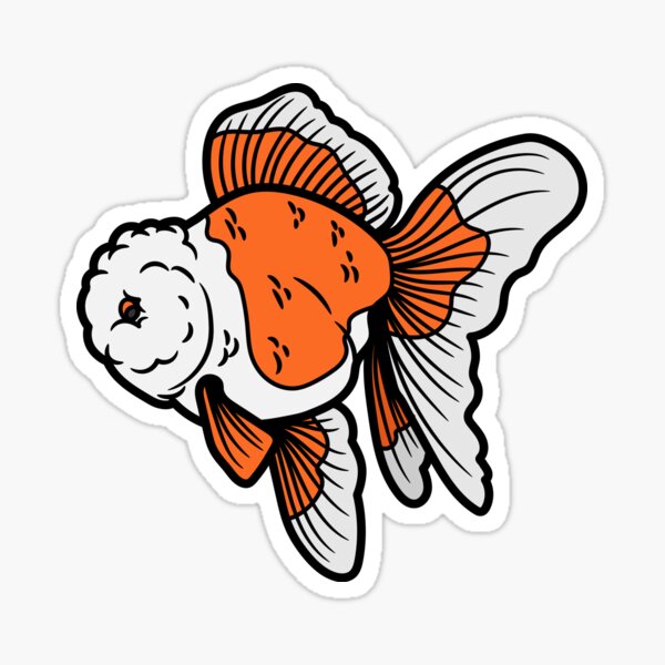 "oranda goldfish" Sticker for Sale by Animster | Redbubble