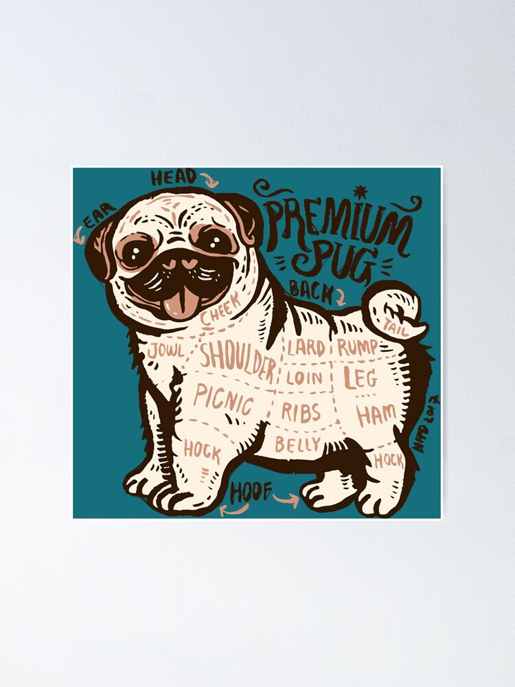 "Anatomy of pug " Poster for Sale by EasterSpears | Redbubble