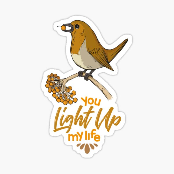 "You light up my life" Sticker for Sale by AbdallahAlaa99 | Redbubble