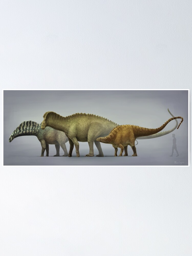 "Dicraeosauridae Dinosaur family . Amargasaurus, Bajadasaurus ...