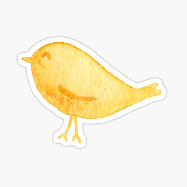 Paper Bird Shop | Redbubble