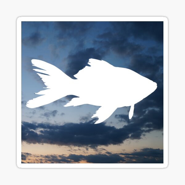 "Cloudfish transparent" Sticker for Sale by infin-png | Redbubble