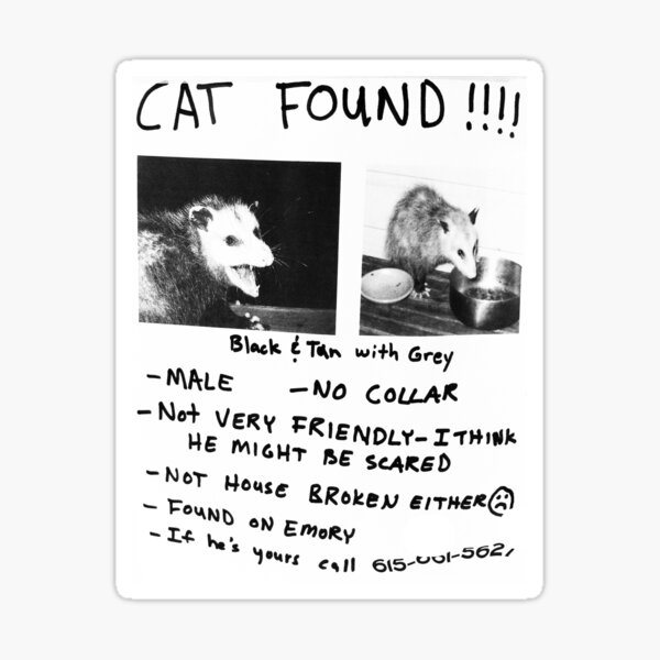 "Cat Found!!!!" Sticker for Sale by SuperMerch | Redbubble