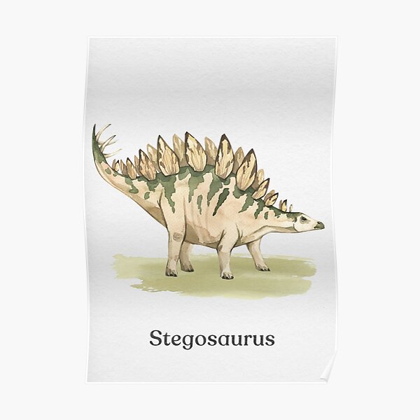 "Stegosaurus" Poster for Sale by galdesign | Redbubble