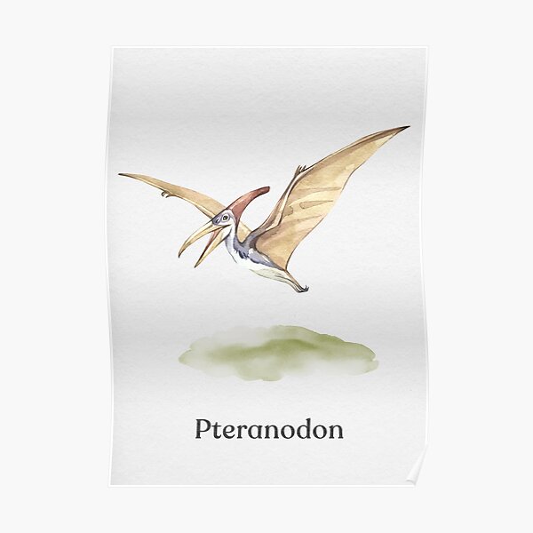 "Pteranodon" Poster for Sale by galdesign | Redbubble
