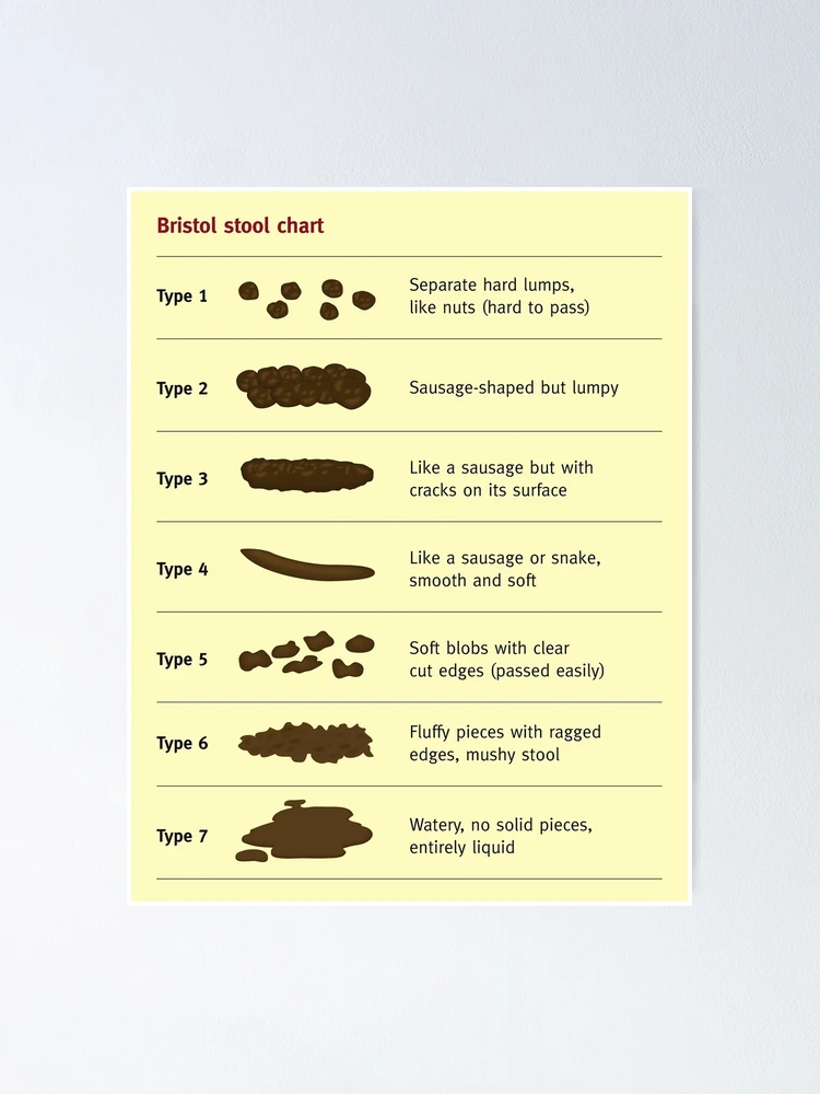 Bristol Stool Chartpdf