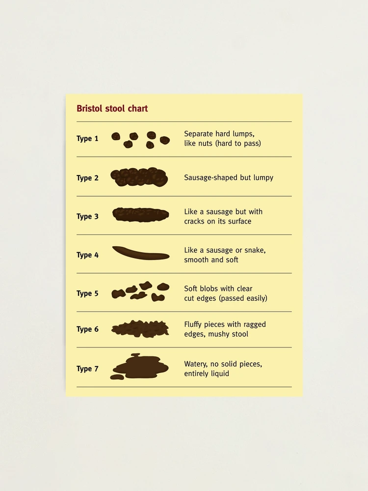 Bristol Stool Chart Download Printable PDF | Templateroller