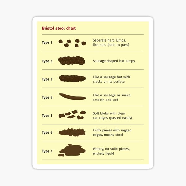 "Bristol Stool Chart" Sticker for Sale by goldenanchor | Redbubble