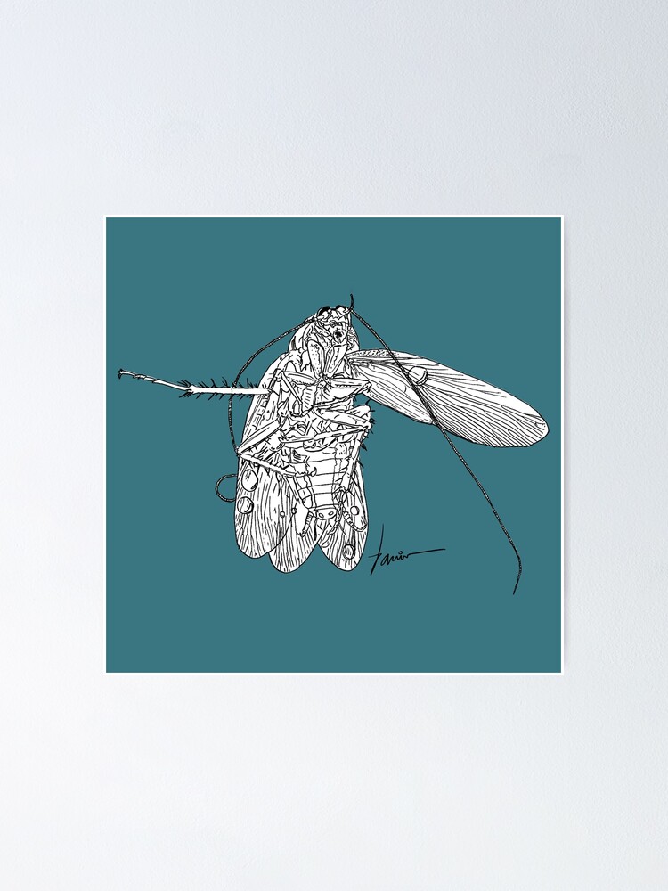 "Ink illustration of a cockroach" Poster for Sale by NoPainnoBrain | Redbubble