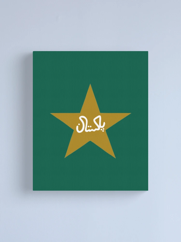 Pakistani Cricket Team Logo Pakistani Cricket Team Posts | Facebook