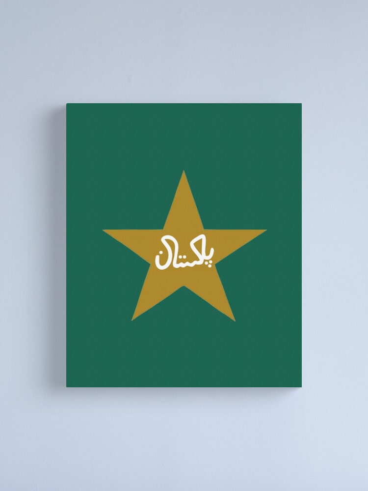 Pakistan Team Logo