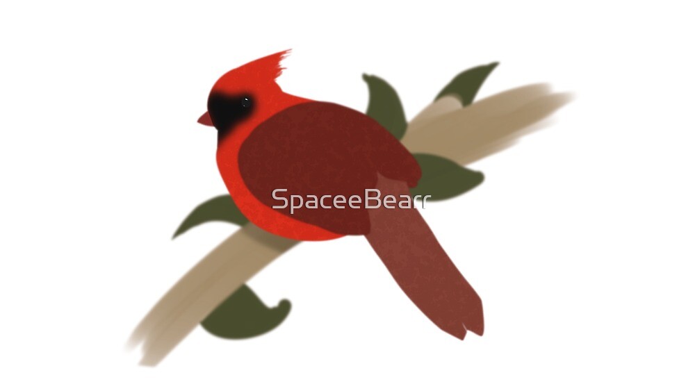 "Cardinal Color Block" by SpaceeBearr | Redbubble