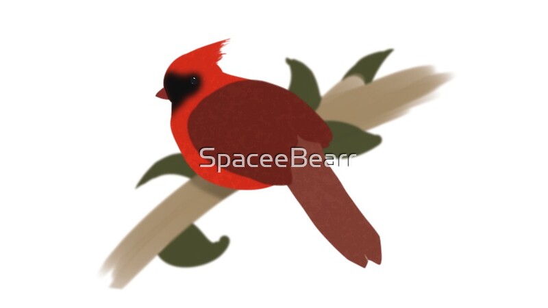 "Cardinal Color Block" by SpaceeBearr | Redbubble