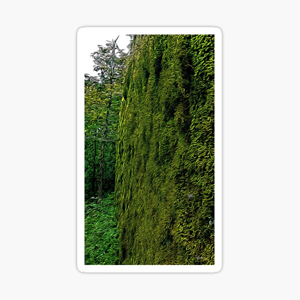 "The Wall Of The Old Bunker Covered With Moss" Sticker for Sale by ...