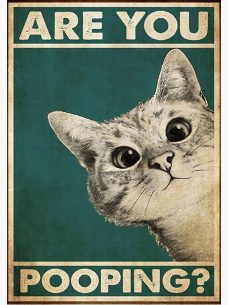 "you pooping cat poster" Sticker for Sale by fredykesad | Redbubble