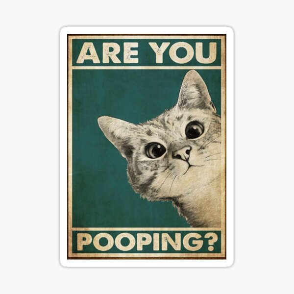 "you pooping cat poster" Sticker for Sale by fredykesad | Redbubble