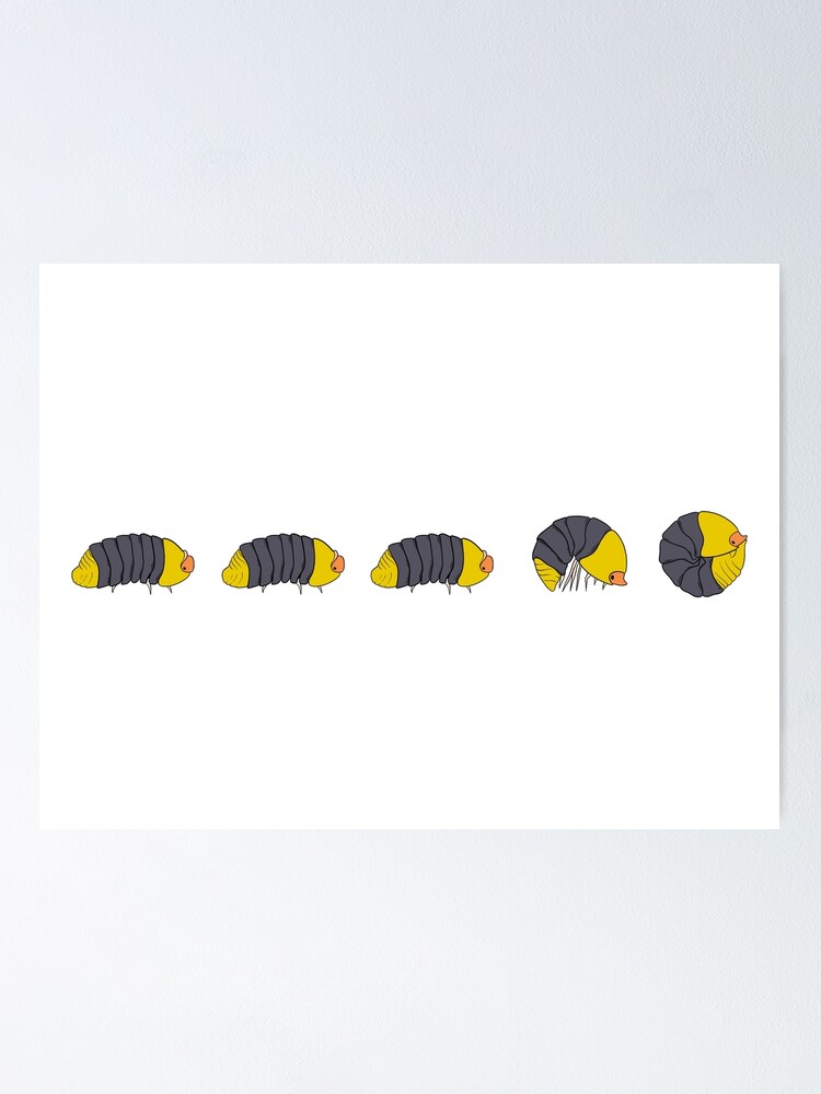 "Rollie Pollie - The Rubber Ducky" Poster for Sale by Inspireexotics ...