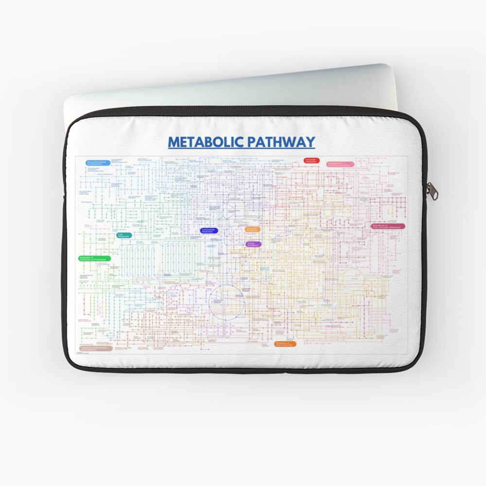 "Metabolic pathway map" Poster for Sale by ScienceStores | Redbubble