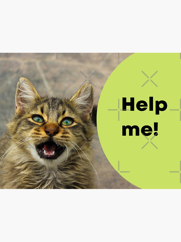 "Cat asking for help." Sticker for Sale by CoolDesign2000 | Redbubble
