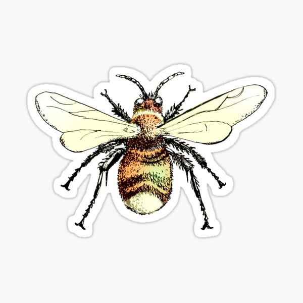 "Bumblebee" Sticker by doctorbear | Redbubble