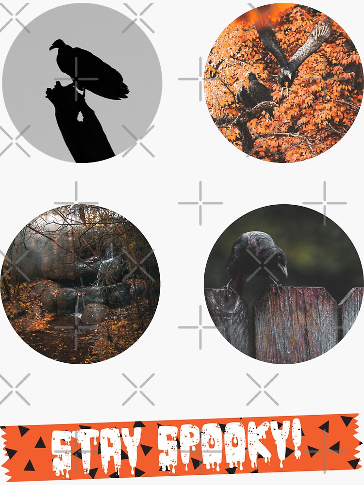 "Spooky Halloween Stickers | Creepy Photo Halloween Stickers ...
