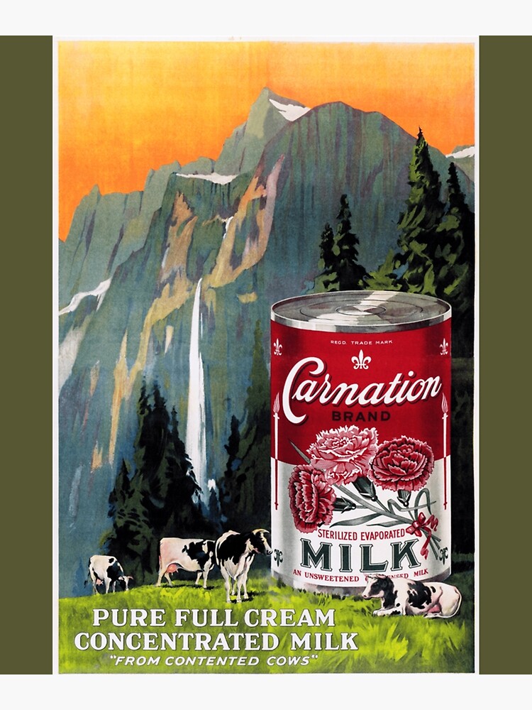 "CARNATION Full Cream Evaporated Milk Vintage Food Advertisement Art ...