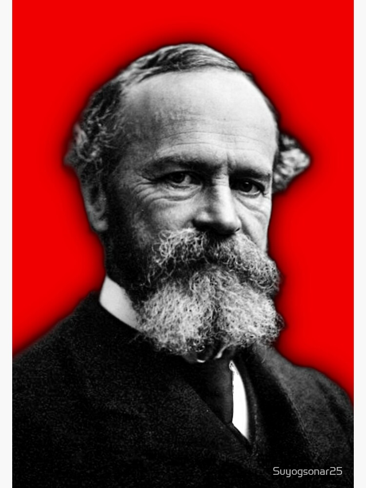 "William James Artwork | William James Portrait | William James Wall ...