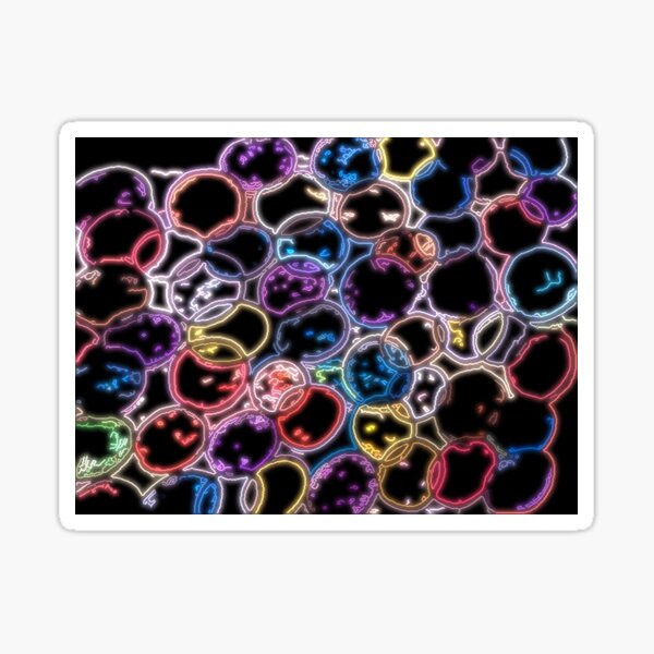 "Circles in neon colors" Sticker for Sale by Dantezander123 | Redbubble