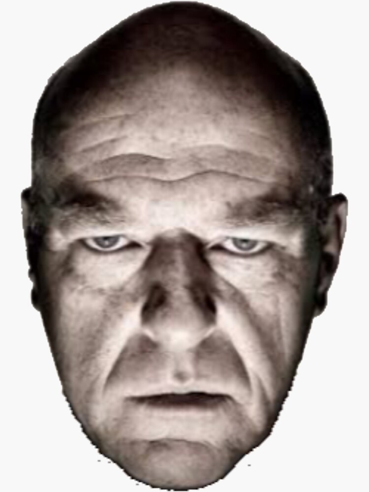 "Hank Staring Meme" Sticker for Sale by babybread96 | Redbubble