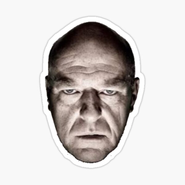 "Hank Staring Meme" Sticker for Sale by babybread96 | Redbubble