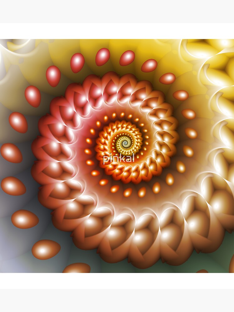 "Shiny Peach Shell" Sticker for Sale by pinkal | Redbubble