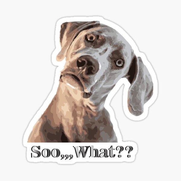"so what?" Sticker for Sale by Store-teto | Redbubble