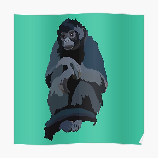 "B is for Black Headed Spider Monkey " Poster for Sale by thezoogirl ...
