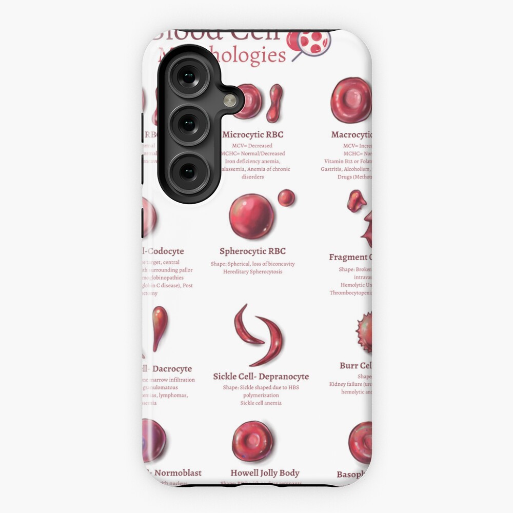 "RBC Morphologies" Poster for Sale by DrTeebu | Redbubble