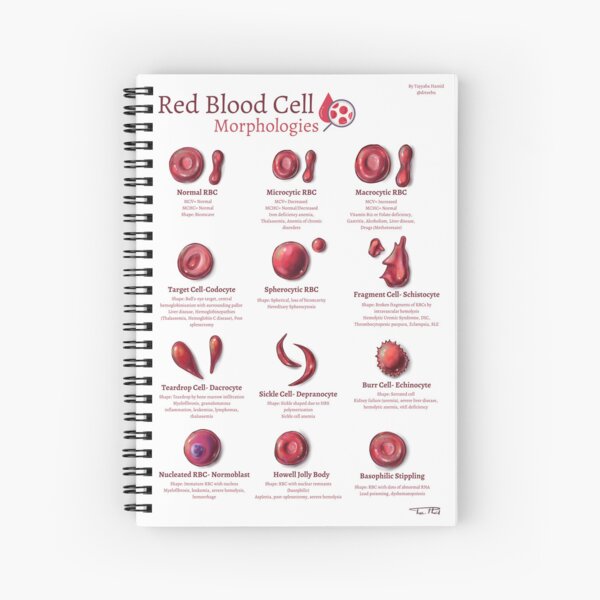 "RBC Morphologies" Spiral Notebook for Sale by DrTeebu | Redbubble