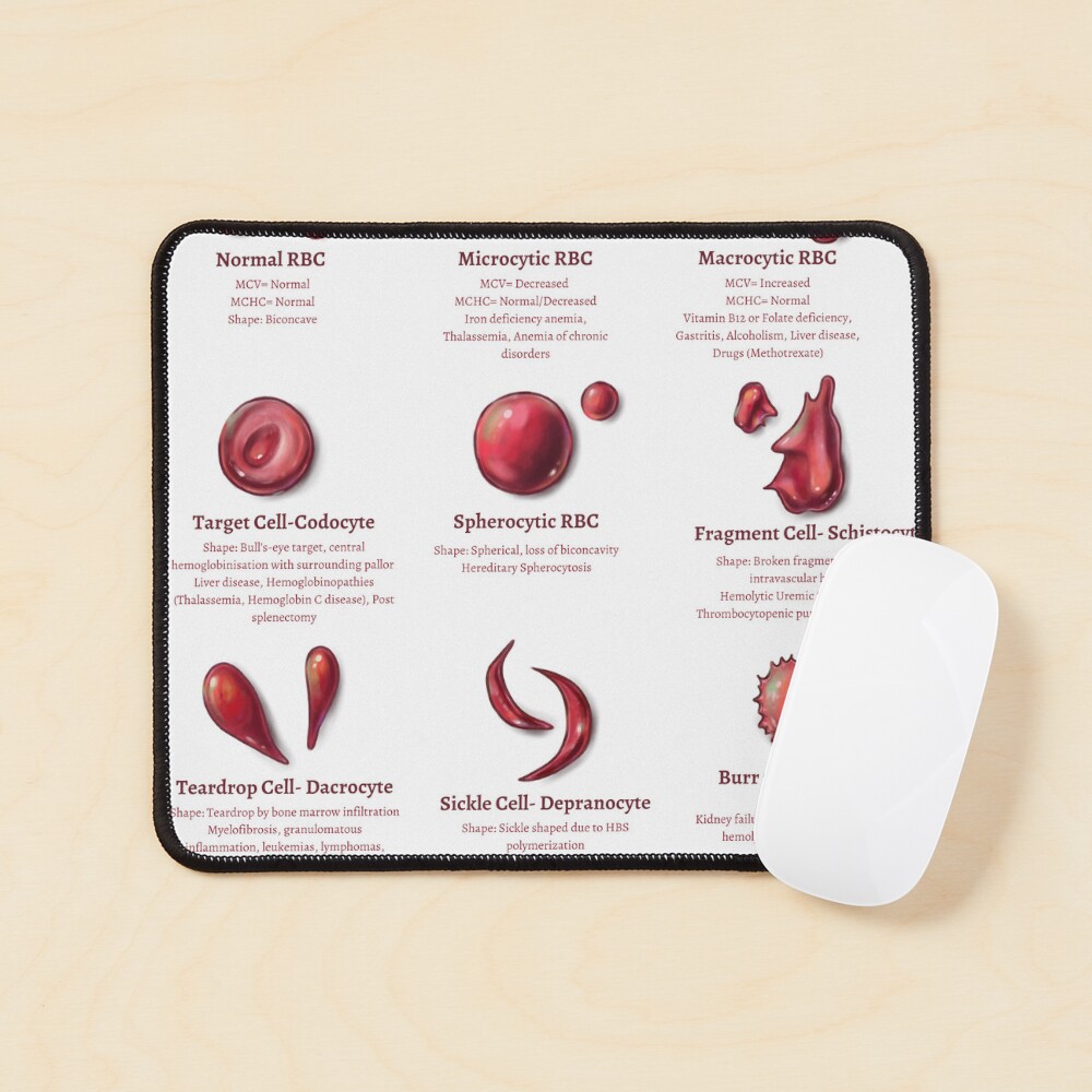 "RBC Morphologies" Poster for Sale by DrTeebu | Redbubble