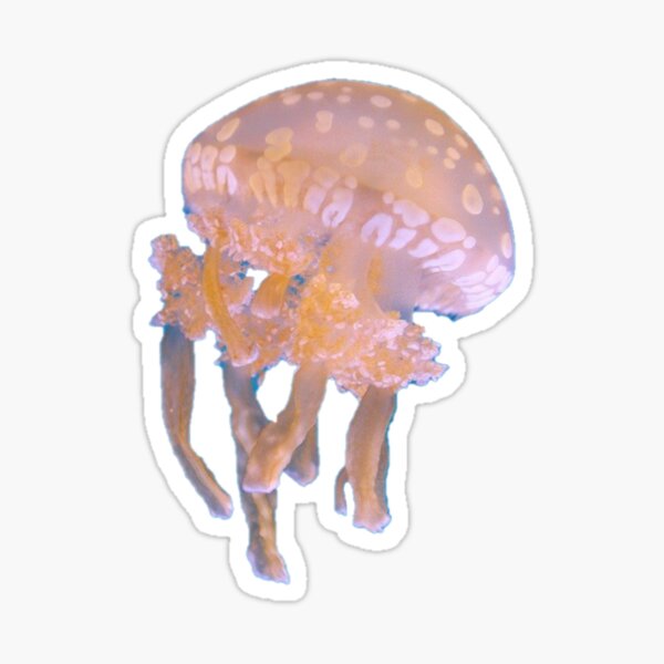"Pink Jelly" Sticker for Sale by Kawaii-Cuteness | Redbubble