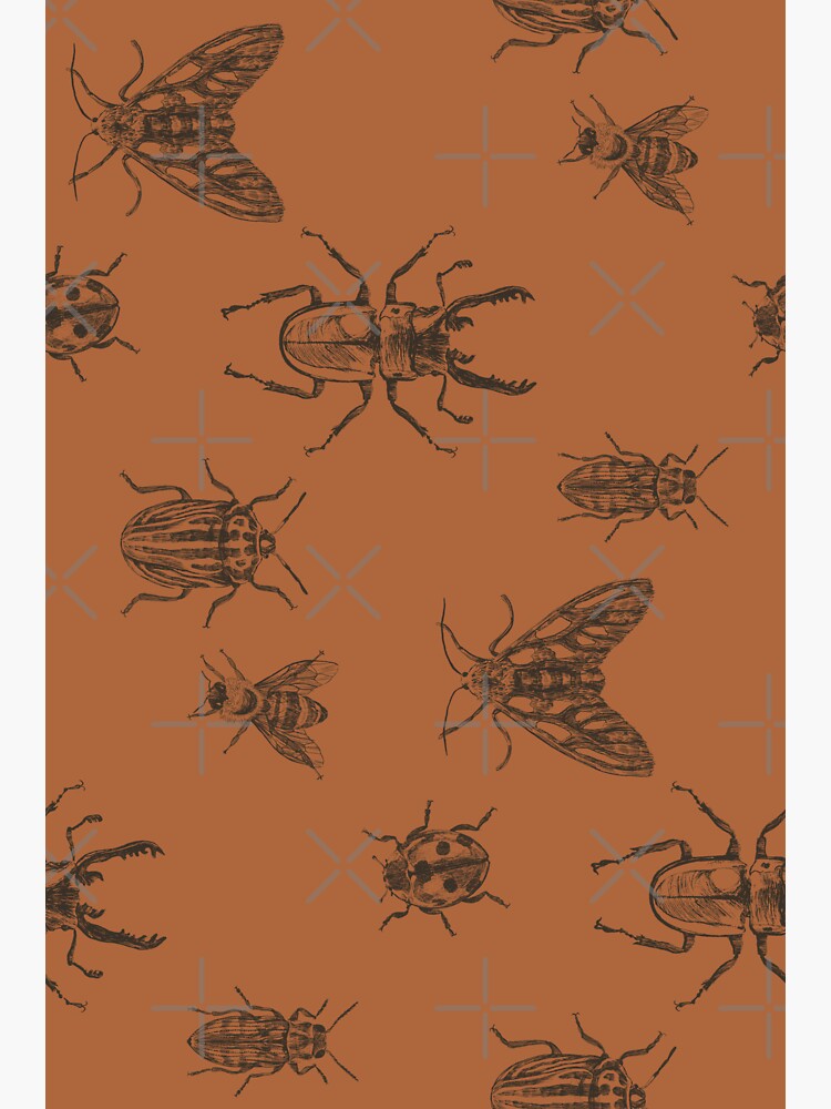 "Bugs Life Rust Orange" Sticker for Sale by koovox | Redbubble