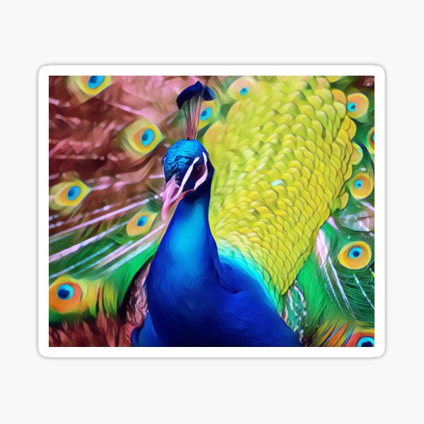 Colorful Peacock Sticker For Sale By Magiland Redbubble