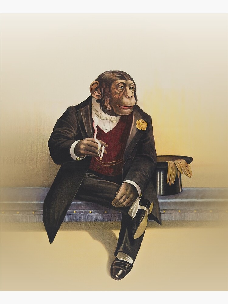 "Circus Series Smoking Chimpanzee" Photographic Print for Sale by ...