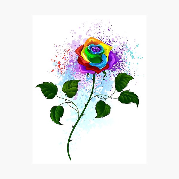 "Rainbow rose with watercolor drops" Photographic Print for Sale by ...