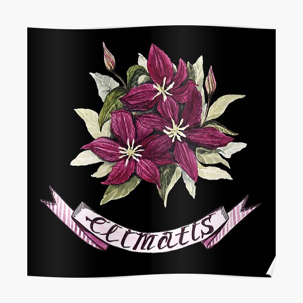 "Climatis" Poster by KateKasyanenko | Redbubble
