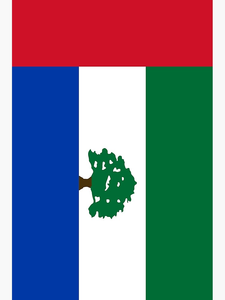 "Hadramout Flag 2 | علم حضرموت" Poster for Sale by abaazeem | Redbubble