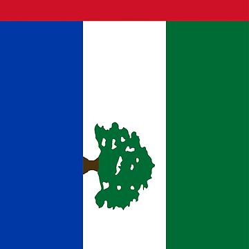 "Hadramout Flag 2 | علم حضرموت" Sticker for Sale by abaazeem | Redbubble