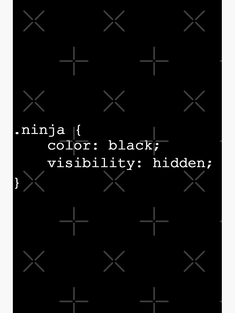 Programming Ninja Poster By Hadicazvysavaca Redbubble 
